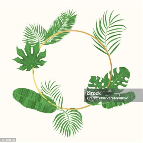 손으로 그린 열 대 잎 Weddiing 프레임입니다 Aralia 몬스 테라 바나나 코코넛 야 자 잎 테두리 초대 카드에 대 한 벡터는 일러스트 레이 션 고립 라운드 꽃 화