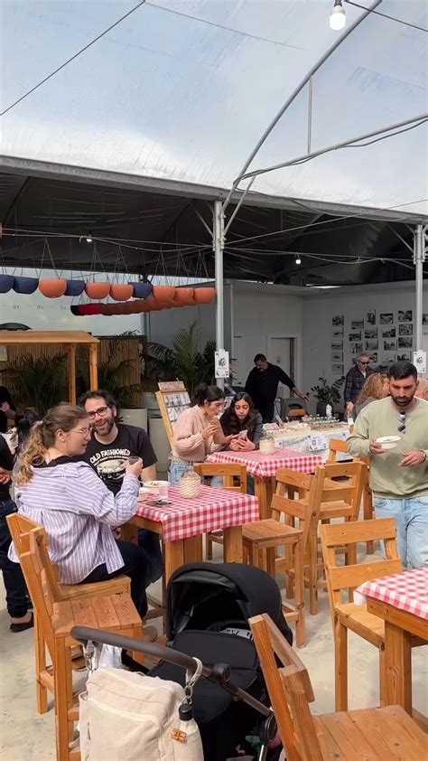 הסנדבליה היא צמח רב שנתי מטפס ולא מתפרע שמתאים לשתילה באדמה אם אין לכם אדמה גם בכדים ואדניות