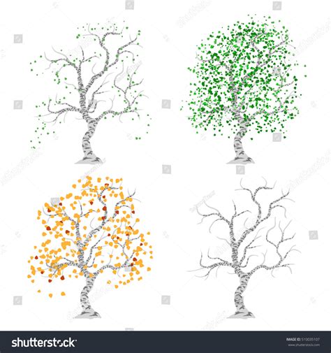 Tree Different Seasons Vector Illustration Isolated เวกเตอรสตอก ปลอดคาลขสทธ