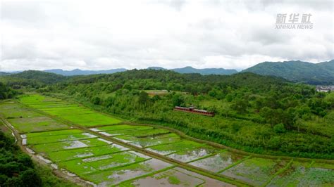 福建武夷山城村汉城遗址入选国家考古遗址公园