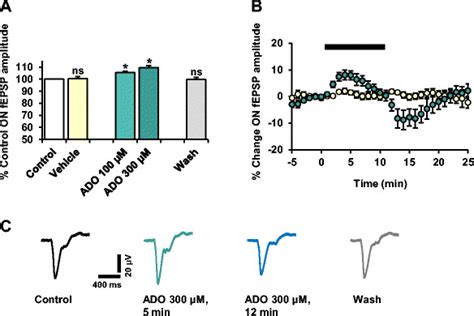 The Effect Of Adenosine On The Nmdar Mediated Rgc On Fepsp Adenosine Download Scientific