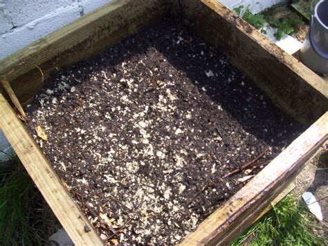 Compost Healthy Soil For Healthy People