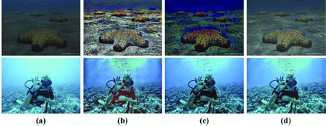 Comparison Of Different Artificial Multi Exposure Fusion Strategies