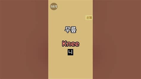 한번 배워서 평생쓰는 신체 몸 영어단어 한방에 정리 모르면 정말 답답한 기초영어단어 쉽고 짧은 일상생활영어