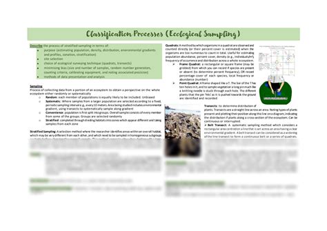 SOLUTION Intensive Notes On Classification Processes Ecological Sampling Unit Qld Senior