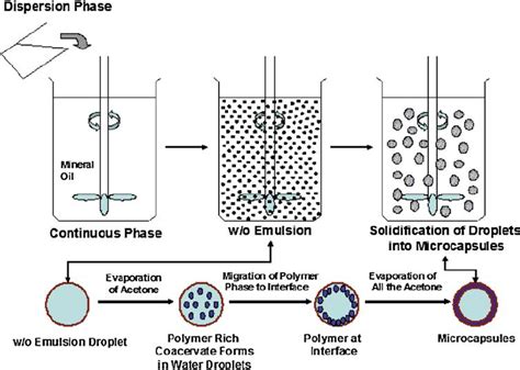 Schematic Illustration Of The Microencapsulation Ese Process Download Scientific Diagram