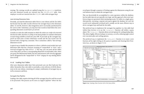 Sap Data Services Comprehensive Guide Book And E Book By Sap Press