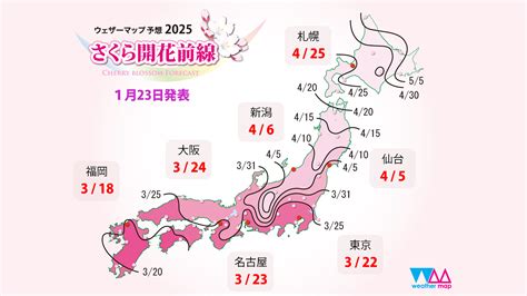 2025年 第一回さくら開花予想ウェザーマップ発表 関東から西では平年並みかやや早め北日本では早い開花となる予想 ウェザーマップ