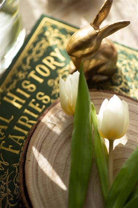 계절 장식 고요한 꽃 꽃꽂이 나무 조각 나뭇잎 낭만적인 독서하는 러스틱 매력적인 미니멀리스트 봄 부드러운 그림자 부드러운 조명 부활절 부활절 토끼