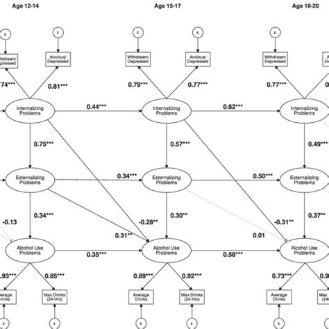Externalizing Mediator Model Direct And Indirect Associations Between