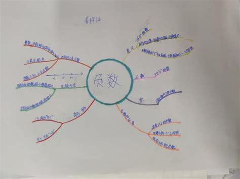 生活中的负数思维导图四年级上册 生活中的负数知识点 图片 网专笔记