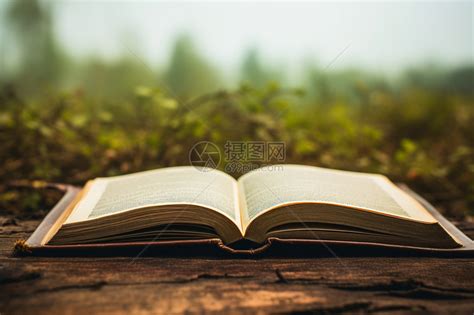 在桌子上打开的书本高清图片下载 正版图片600388548 摄图网