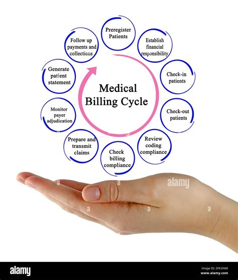 Components Of Medical Billing Cycle Stock Photo Alamy