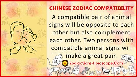 Compatibilidade Do Zodíaco Chinês Zodiacsigns Zsh
