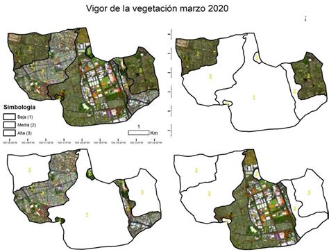 Análisis Del Vigor En La Cobertura Vegetal De La Microcuenca Marzo 2020
