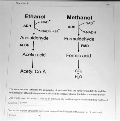 Solved Question 8 2pts Ethanol Methanol Nad Nad Adh Adh Nadh H Nadh Acetaldehyde