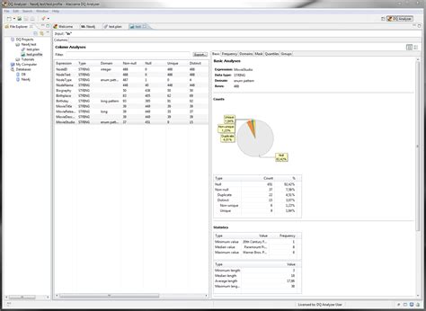 Irregularbi Blog Neo4j Data Profiling With Ataccama Dq Analyzer A