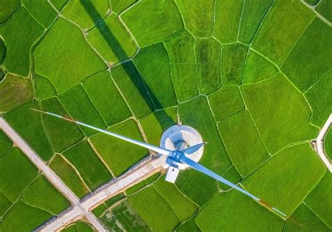 Exploring The Economic Benefits Of Urbanization