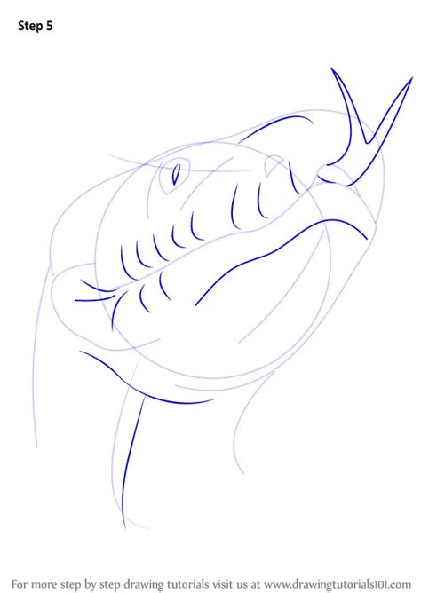 Step By Step How To Draw A Burmese Python