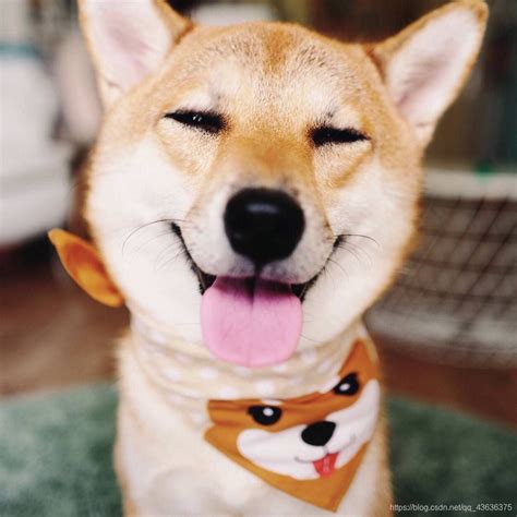 Python列表解析技巧 Csdn博客