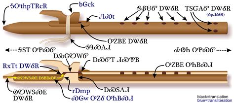 Parts Of A Flute Diagram