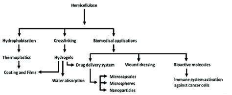 Overview Applications Of Hemicellulose Farhat Et Al 2017