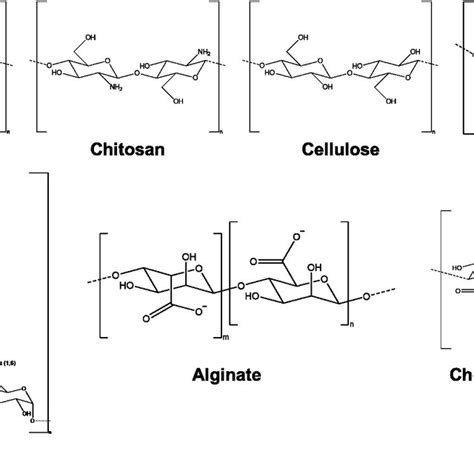 The Chemical Structures Of Various Polysaccharides Discussed In This Download Scientific