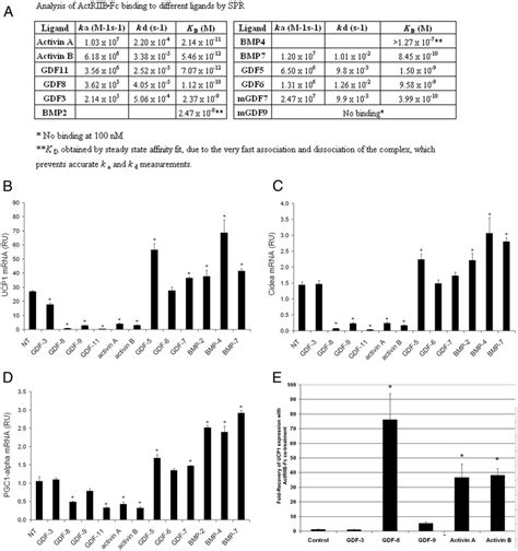 A Analysis Of Actriib Fc Binding To Different Ligands By Spr Purified Download Scientific