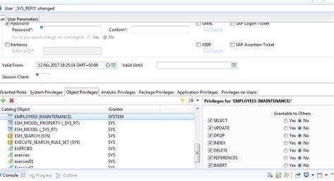 sapui5nedir stored procedure could not create catalog object