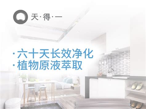 凝胶除味剂 忘记桔梗 站酷ZCOOL