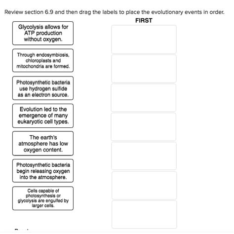 Solved Review Section 6 9 And Then Drag The Labels To Place
