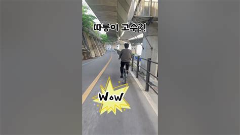 브롬톤으로 피빨기 브롬톤따릉이 Youtube