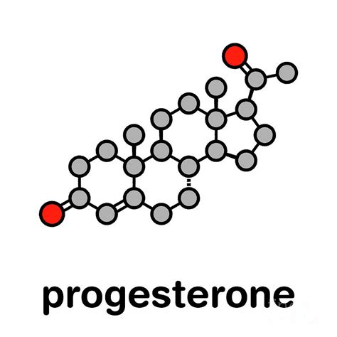 Progesterone Female Sex Hormone Molecule By Science Photo Library
