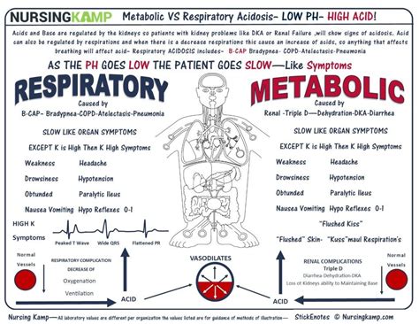 Metabolic Acidosis Vs Respiratory Acidosis Nursing School Survival