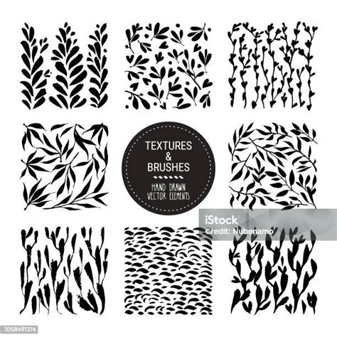 흰색 바탕에 꽃 벡터 클립 아트 컬렉션 Isolatad입니다 식물 텍스처 꽃 장식 유기 로고 브랜딩 청첩장 전단지 포스터 서식 파일 요소를 디자인 합니다 0명에 대한 스톡