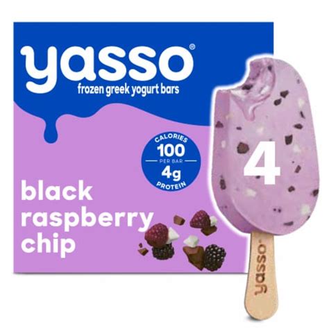 Yasso Black Raspberry Chip Frozen Greek Yogurt Bars 4 Ct Fred Meyer