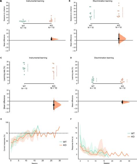 Correction Knockout Serotonin Transporter In Rats Moderates Outcome