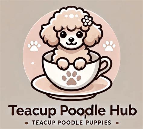 Mia Female Teacup Poodle For Sale Teacup Poodle Hub