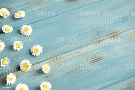 꽃이 있는 텍스트의 프레임입니다 파란색 나무 배경에 자연 흰색 꽃입니다 꽃 배너입니다 인사말 카드에 대 한 프레임입니다 평면 누워 평면도 0명에 대한 스톡 사진 및 기타