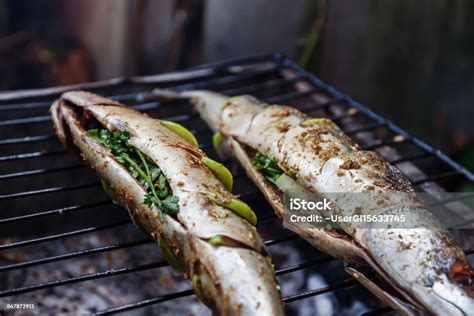 화재에 향신료와 함께 생선 구이 닫습니다 캠프 파이어에도 라도 생선 굽고 갈색에 대한 스톡 사진 및 기타 이미지 갈색 건강한 식생활 고등어류 Istock