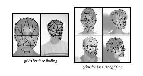 Pdf Face Recognition By Elastic Bunch Graph Matching 1997 Laurenz