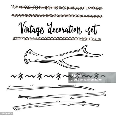 손 집합 그린 빈티지 요소 디자인에 대 한 벡터 일러스트입니다 가지 식물 부위에 대한 스톡 벡터 아트 및 기타 이미지 가지