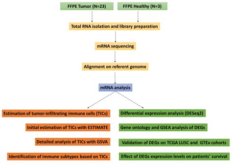 Transcriptomic Profiling For Prognostic Biomarkers In Early Stage Squamous Cell Lung Cancer Sqclc