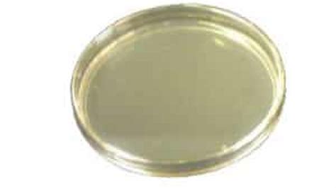 Nutrient Agar Recipe Protocol