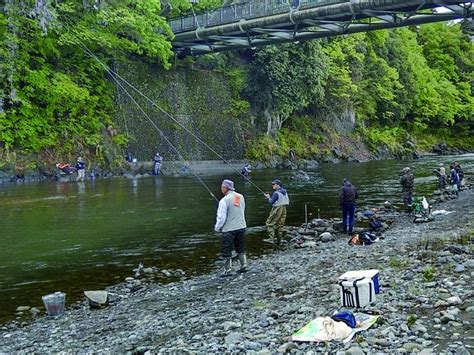 多摩川の本支流でマスヤマメイワナの渓流釣り解禁へ 西多摩経済新聞