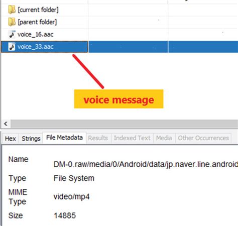 Artifacts Retrieved From Line Using Autopsy Download Scientific Diagram