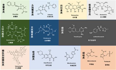 大环内酯（macrolides）类抗生素药物综述 知乎
