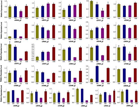 Frontiers Transcriptome Profile Analysis From Different Sex Types Of