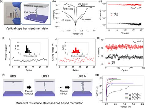 Biodegradable And Flexible Polymer‐based Memristor Possessing Optimized Synaptic Plasticity For