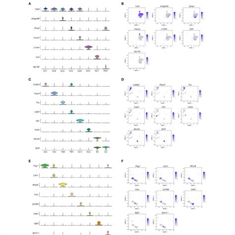 Heterogeneity Of Cell Subpopulations In Control And A Download Scientific Diagram